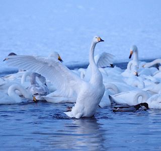 ISO 101: everything you wanted to know - Jessops